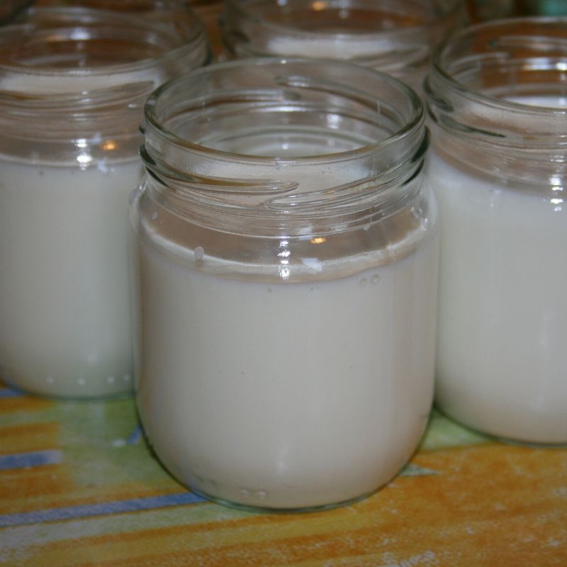 Yaourt lait demi écrémé : recette à faire en 2 minutes