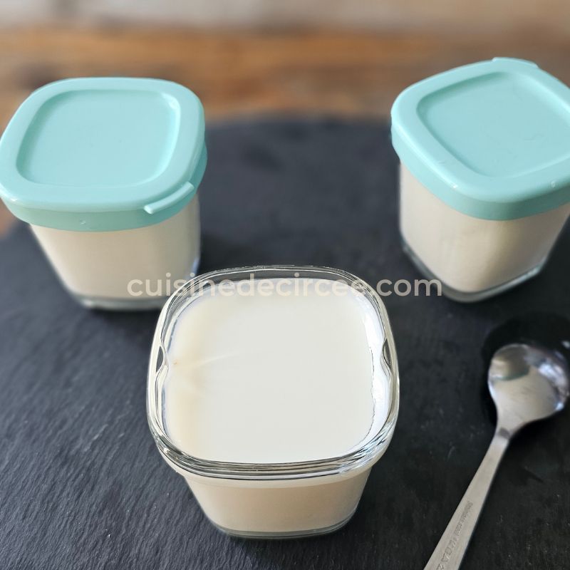 Yaourt lait demi écrémé : recette à faire en 2 minutes